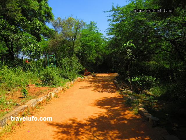 sanjay van Delhi ,EXPERIENCE , PICTURES AND HAUNTED STORY OF SANJAY VAN ...