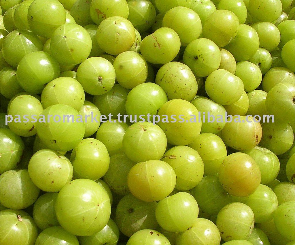 A Complete Health Solutions Hub: Health Benefits of Phyllanthus Emblica ... A Complete Health Solutions Hub: Health Benefits of Phyllanthus Emblica ...