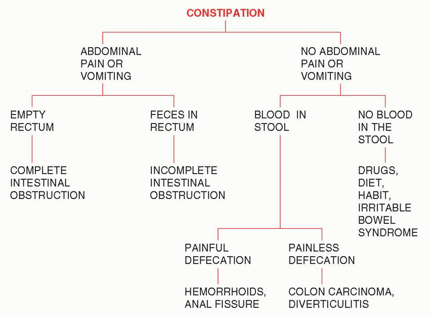 Diagnostic approach to constipation