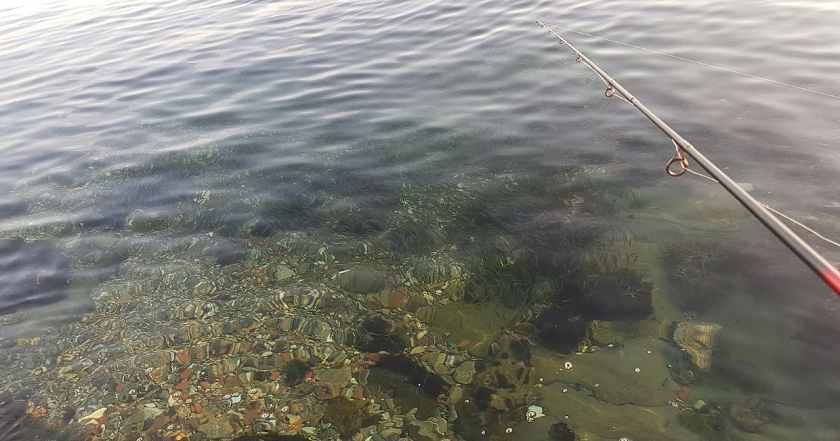 LRF(Light Rock Fishing): LRF meraları