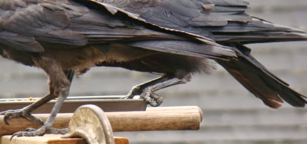 Surprised by Time: September 2014