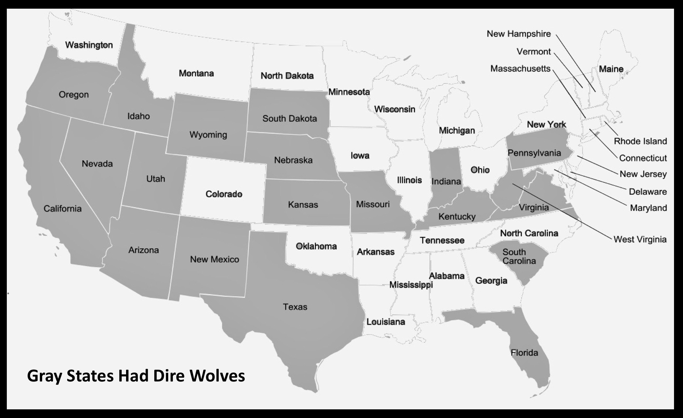 Rick Lamplugh: How Wolves Arrived and Once Flourished in the U.S.
