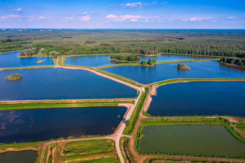 RYBY Z SERCA NATURY - GOSPODARSTWO RYBACKIE ZAWÓLCZE