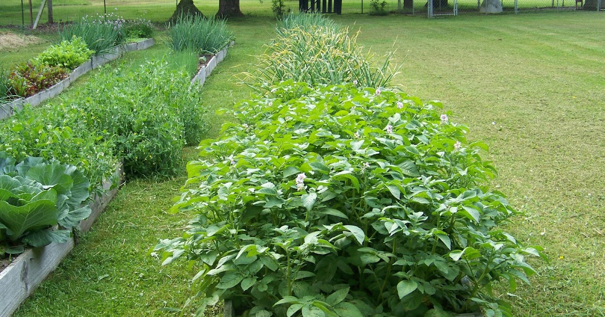 Hickery Holler Farm: Are We All Preppers Now?