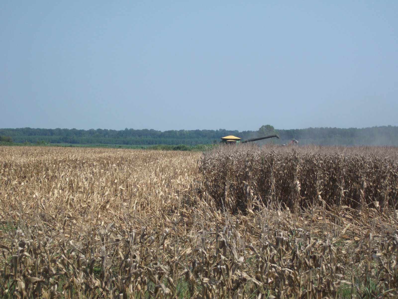 Madsen Family: MISSISSIPPI!