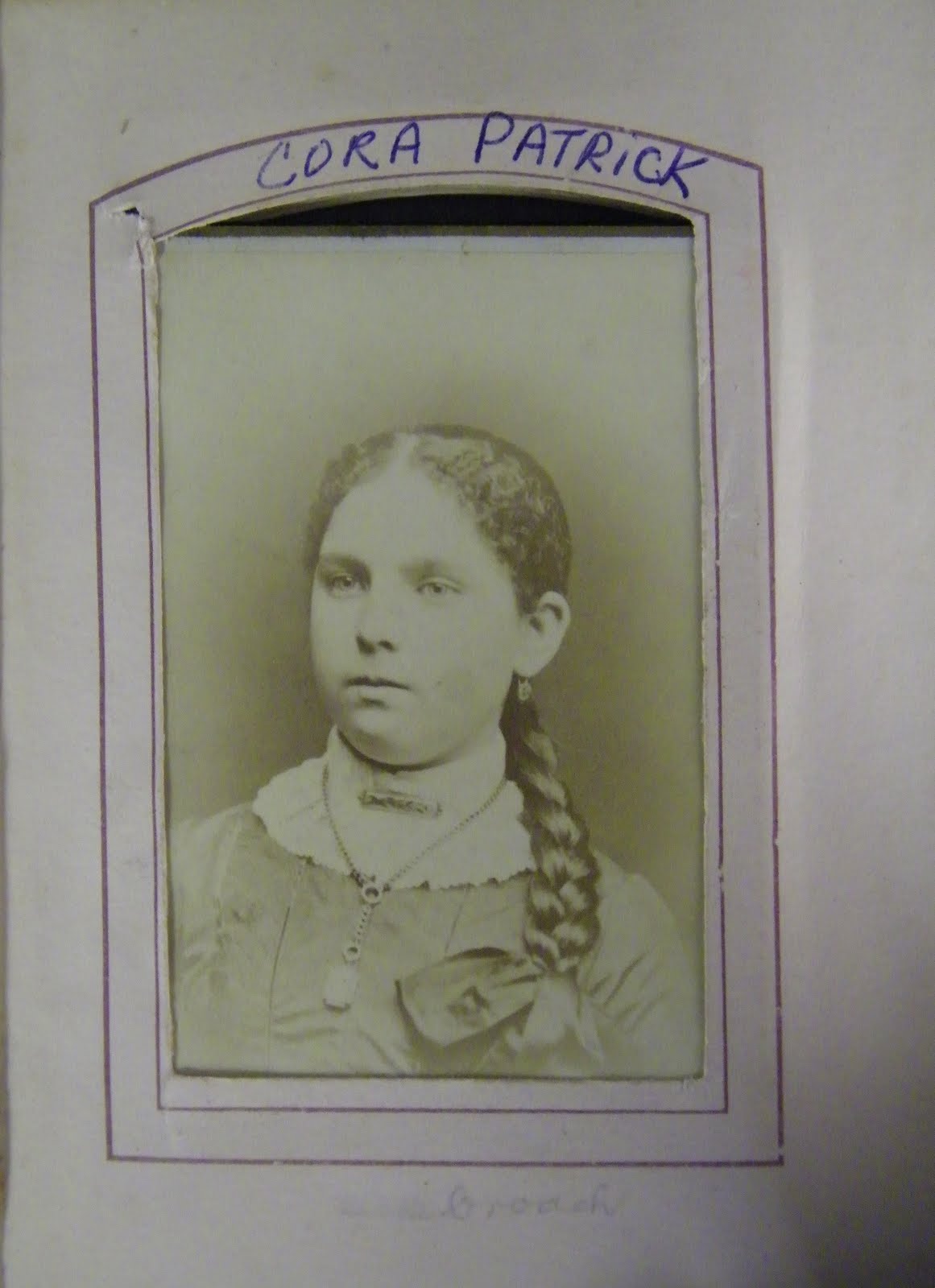 American Pomeroy Historic Genealogical Association: 2011