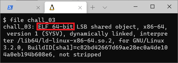 Binary Exploitation (XXIII): Buffer overflow (II) - Shellcode injection