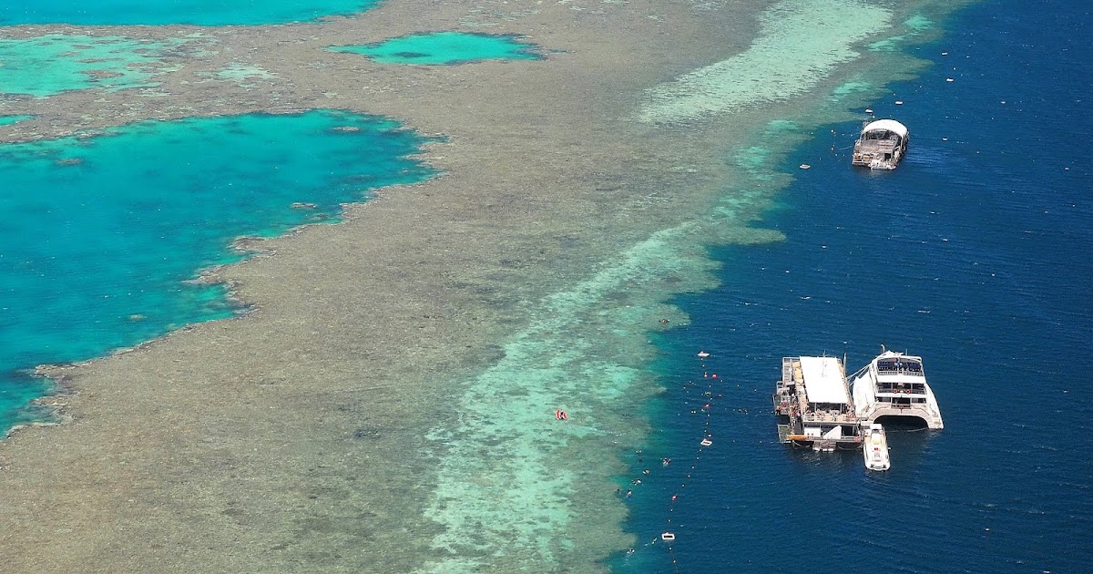 2020-02-17 Eastern Australia: 2020-03-16 – Hardy Reef and the Heart of ...