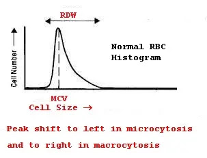 Automation in hematology Part (2)