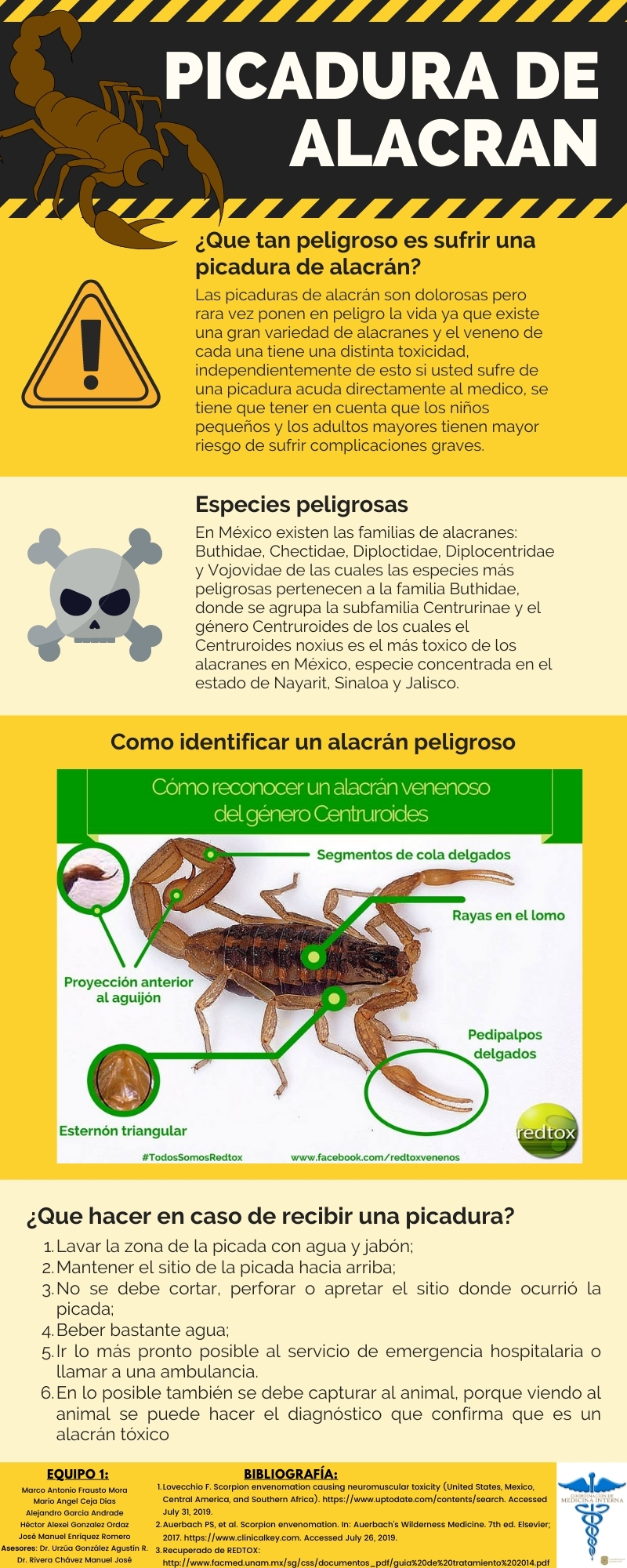 Picadura de alacran - DIVULGACIÓN CIENTÍFICA UG
