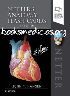 Netter Anatomy Flash Cards 5th Edition pdf free download | booksmedicos
