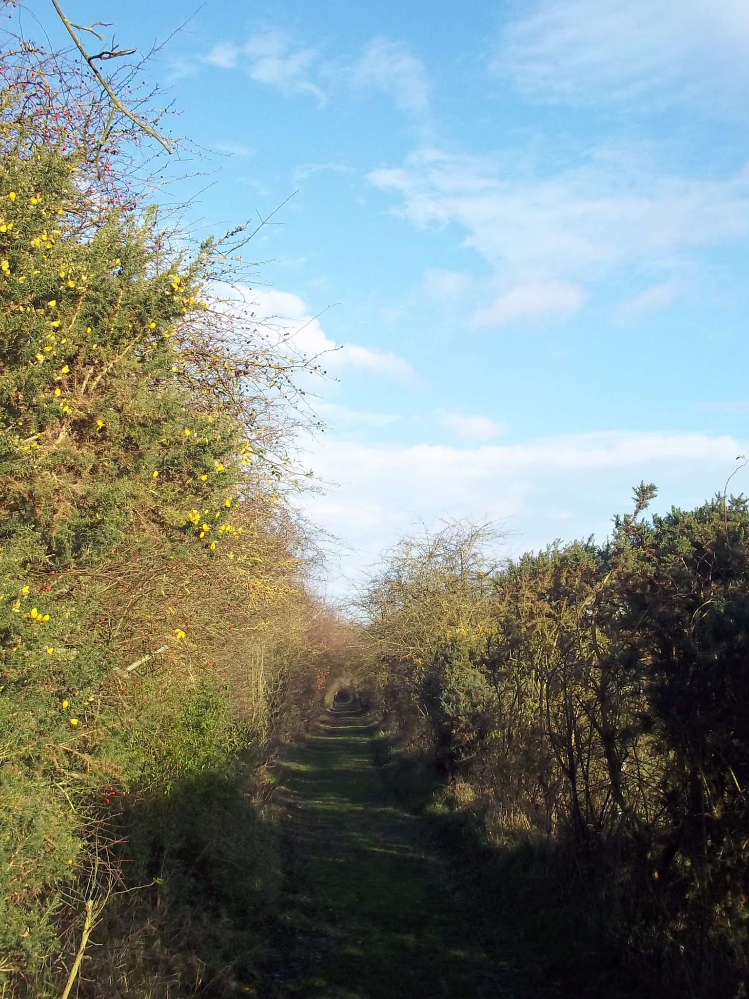 Walking The Peak: Ranskill, Daneshill Lakes, Idle Valley Nature Reserve ...