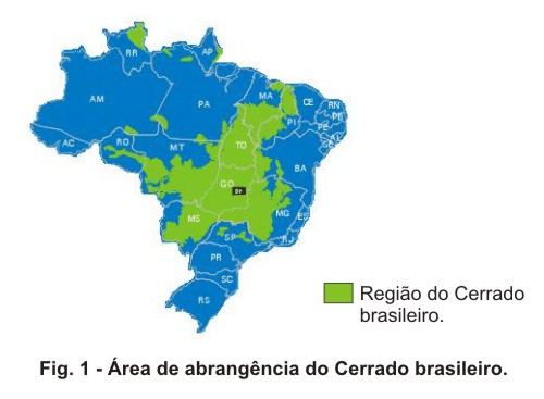 BIBOCA AMBIENTAL : CERRADO - BREVE HISTÓRICO