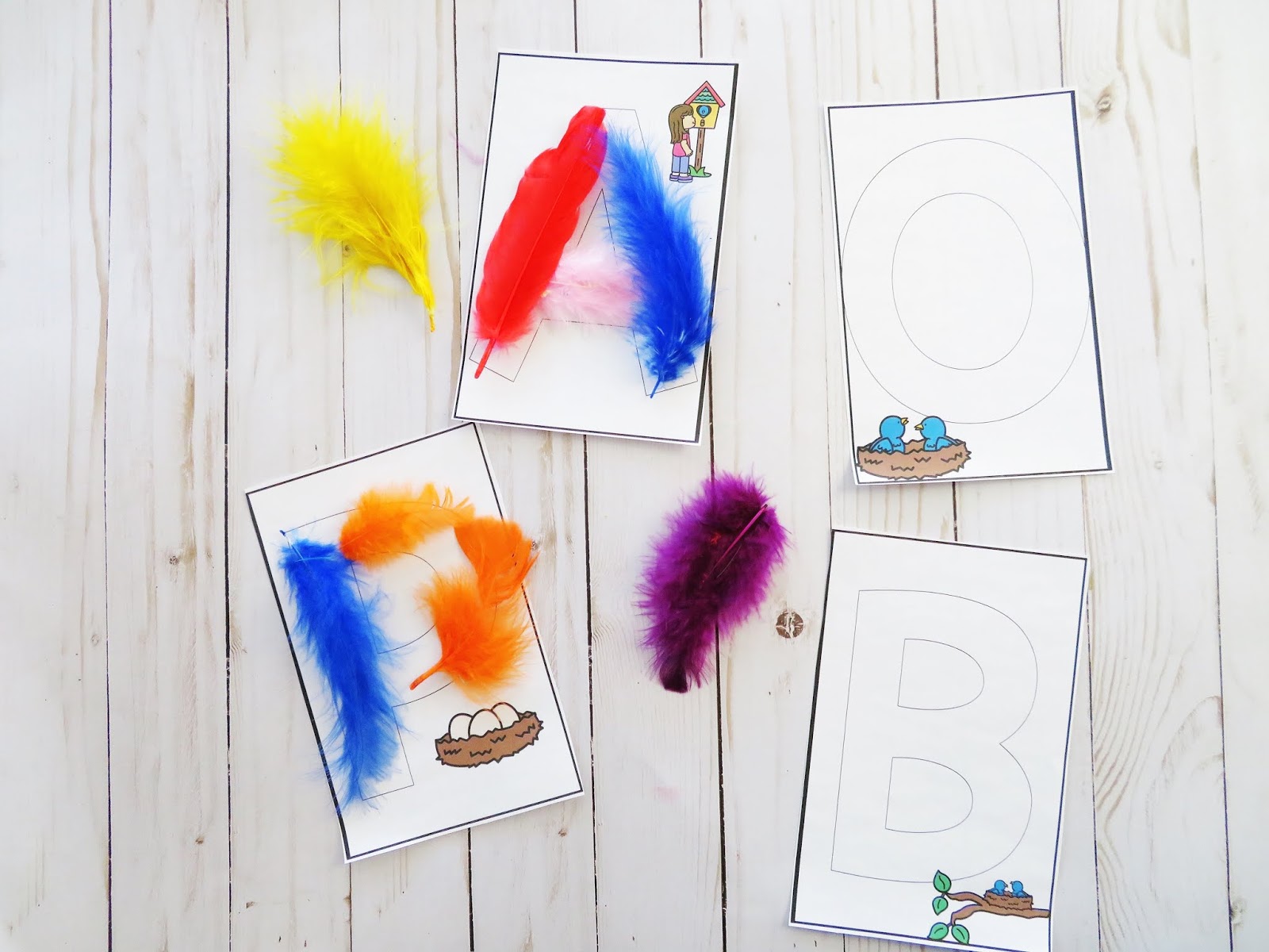 Birds Preschool Theme