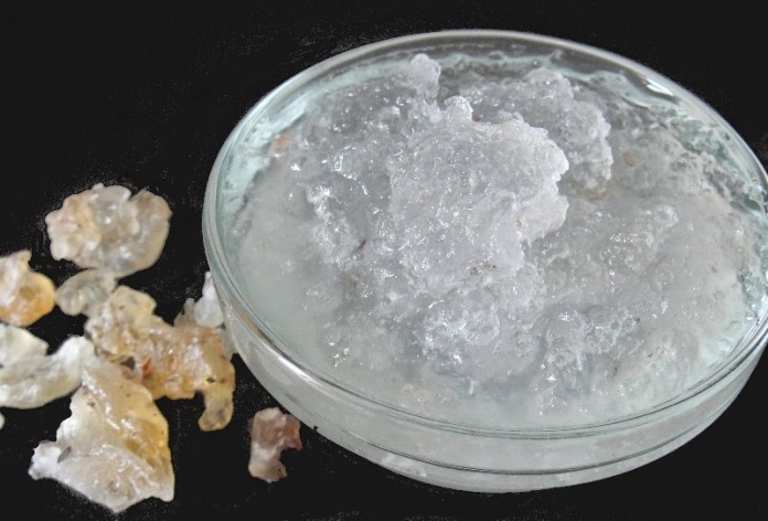 Tragacanth gum / Gond katira Benefits and Usage ~ Wisdom Surf