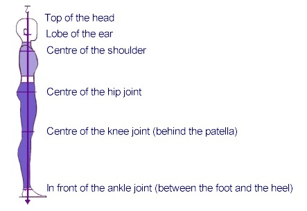 Laura Stanyer: Good Posture - Postural Alignment for Dancers