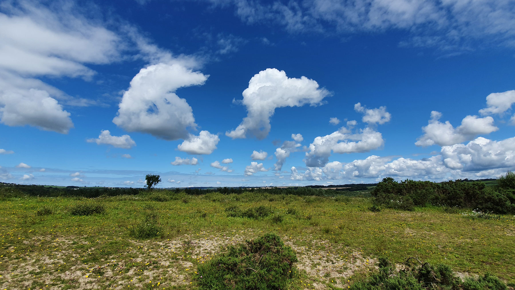Away From Four Marks: 3rd August - Rocky Valley, Tintagel, Cornwall ...