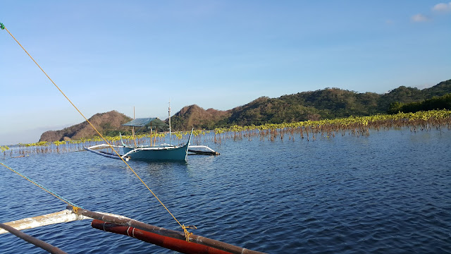 The Curious Anja: Summer 2017: Layag Layag Beach, Nasugbu, Batangas