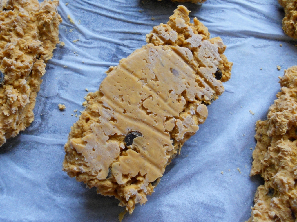 Snacking Squirrel: Pumpkin Protein Fudge Bar Recipe