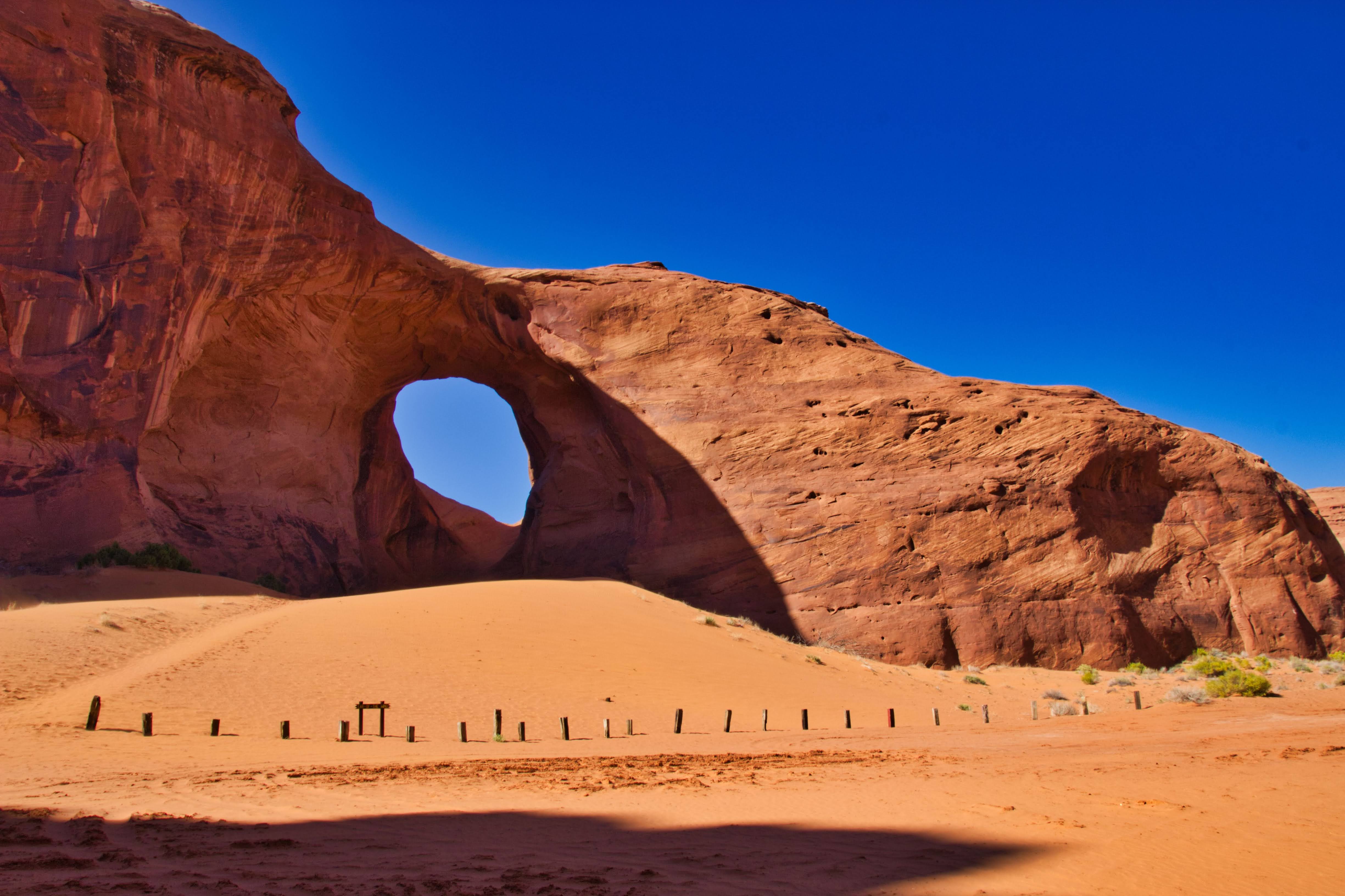 To Behold the Beauty: 2019