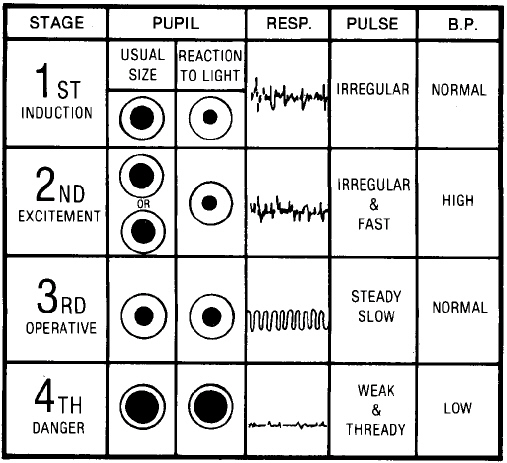 SURGSEMINAR: ANESTHESIA GENERAL