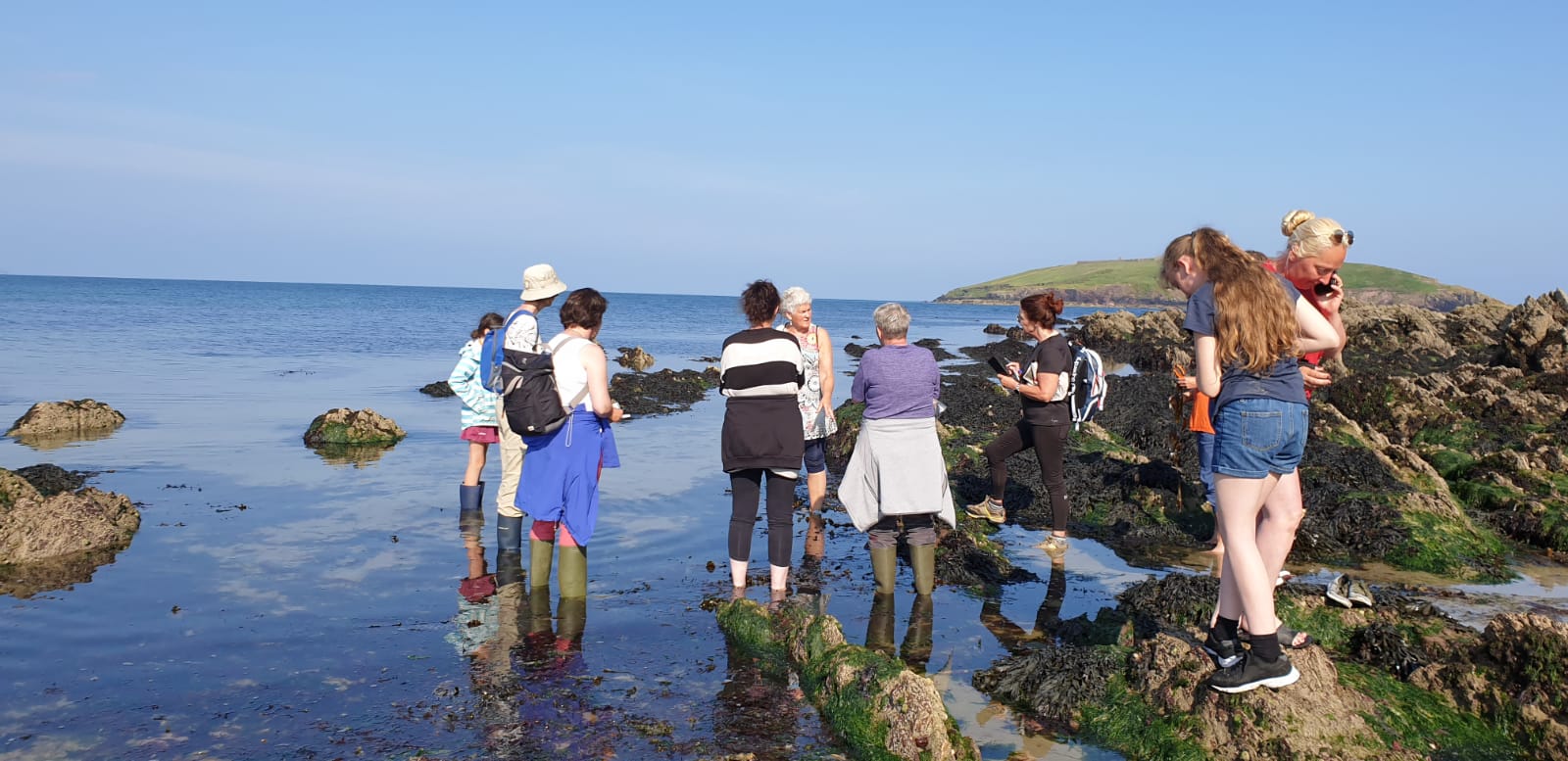 Seaweed Walk at Knockadoon – Youghal Blue and Green Community Network