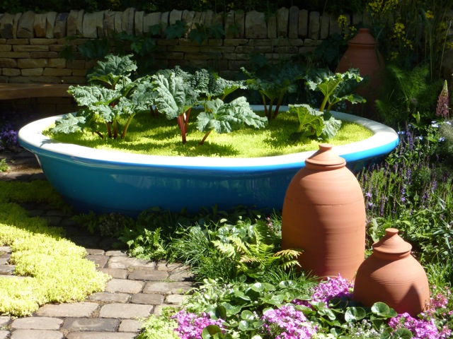HOW TO GROW RHUBARB IN POTS |The Garden of Eaden