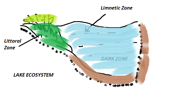 Environmental Studies - Major Ecosystem Types-II