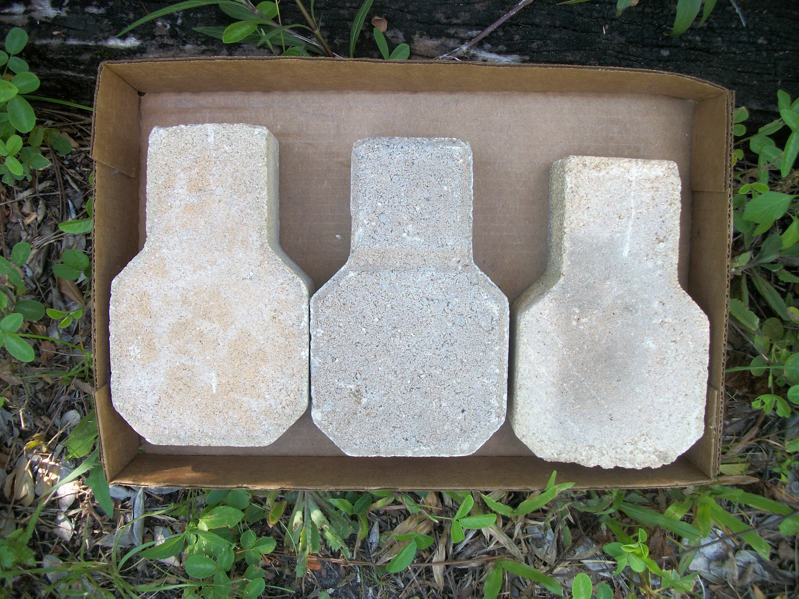 Art in Nature: Ladybug Creation for the garden!