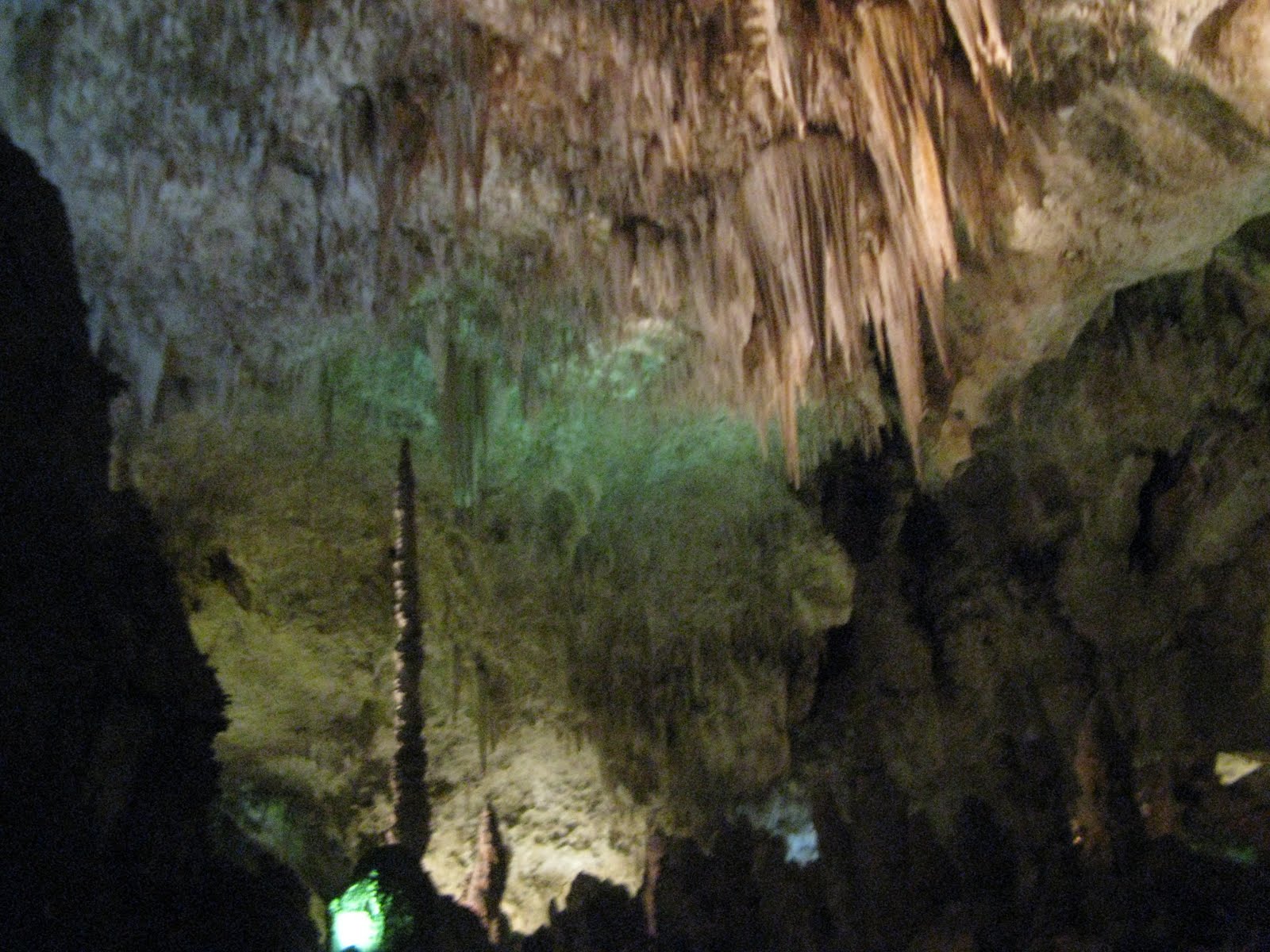 Tarra's Travels: Guadalupe Mountains National Park & Carlsbad Caverns ...