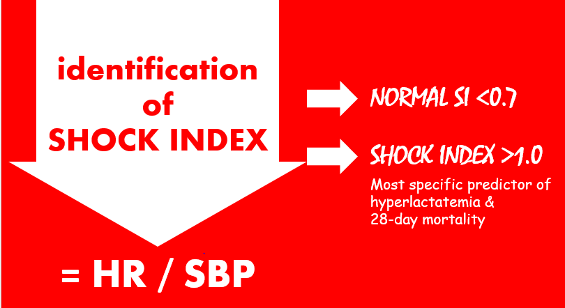 What is Shock Index?