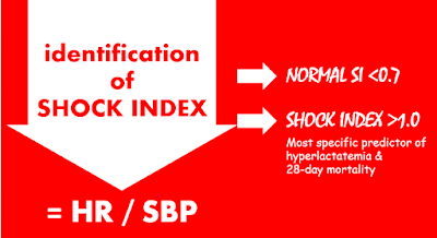 What is Shock Index?