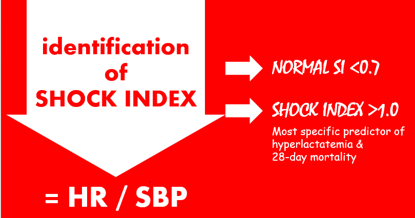What is Shock Index?