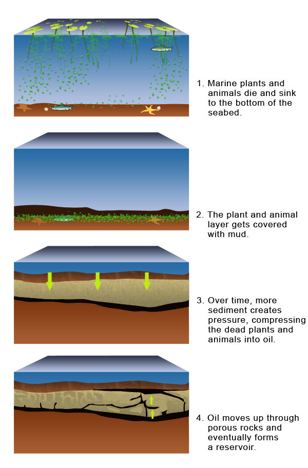 Fundamentals of Petroleum Engineering: The Origin of Hydrocarbons