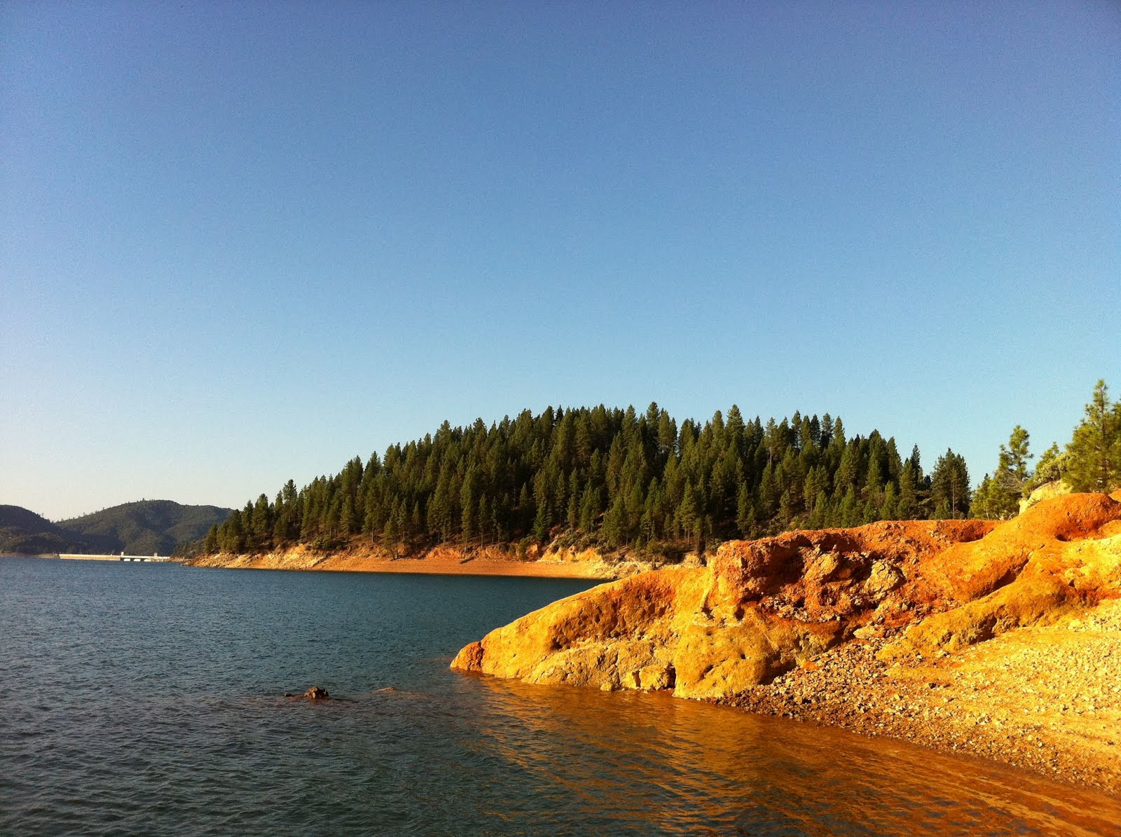 The Conundrum: I'm on a Broat!