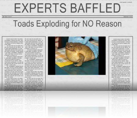MFS-The Resource Center Blog: ⅏Did You Know: The Exploding Toads of Germany