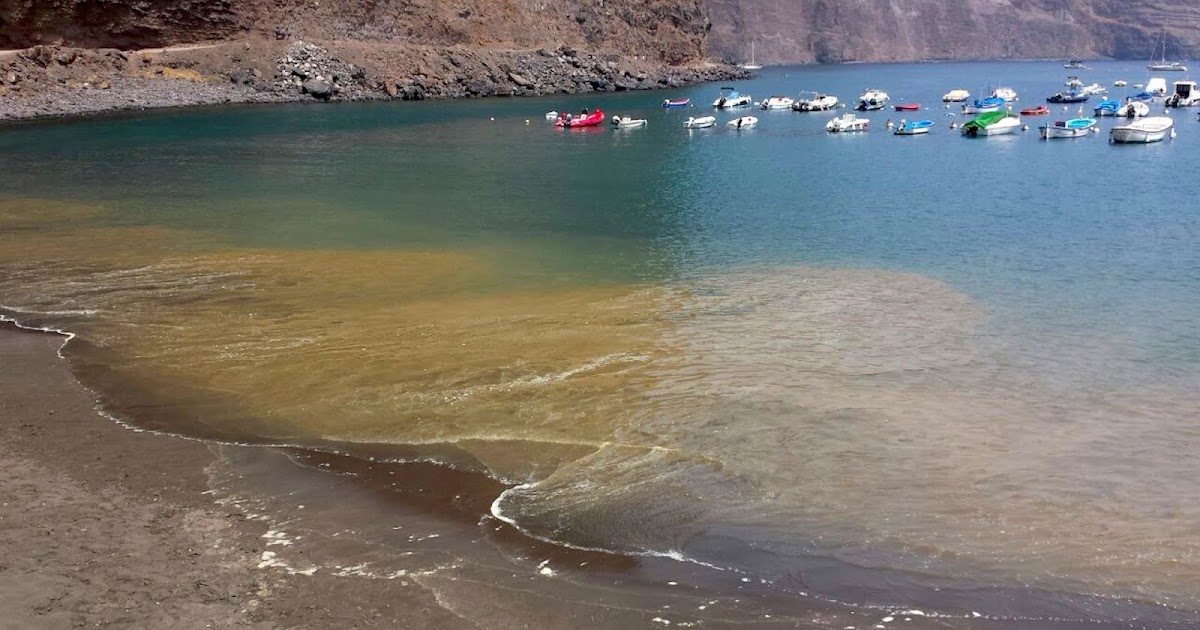 LA GOMERA ISLAND (Canary Islands): Algae affecting many beaches