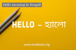 Hello meaning in Hindi, Tamil, Telugu, Kannada, English, Bengali, and French.