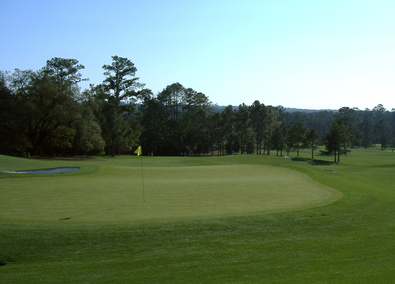 18th Hole at Augusta National: Holly