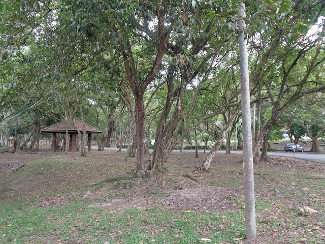 Taman Rimba Templer, Jalan Selayang-Rawang, Selangor