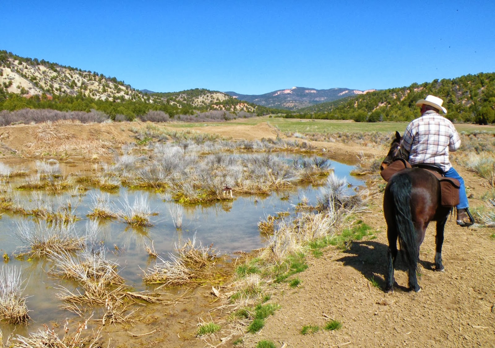 Dream Packer Trail Adventures: Deer Springs Ranch, Kanab, Utah