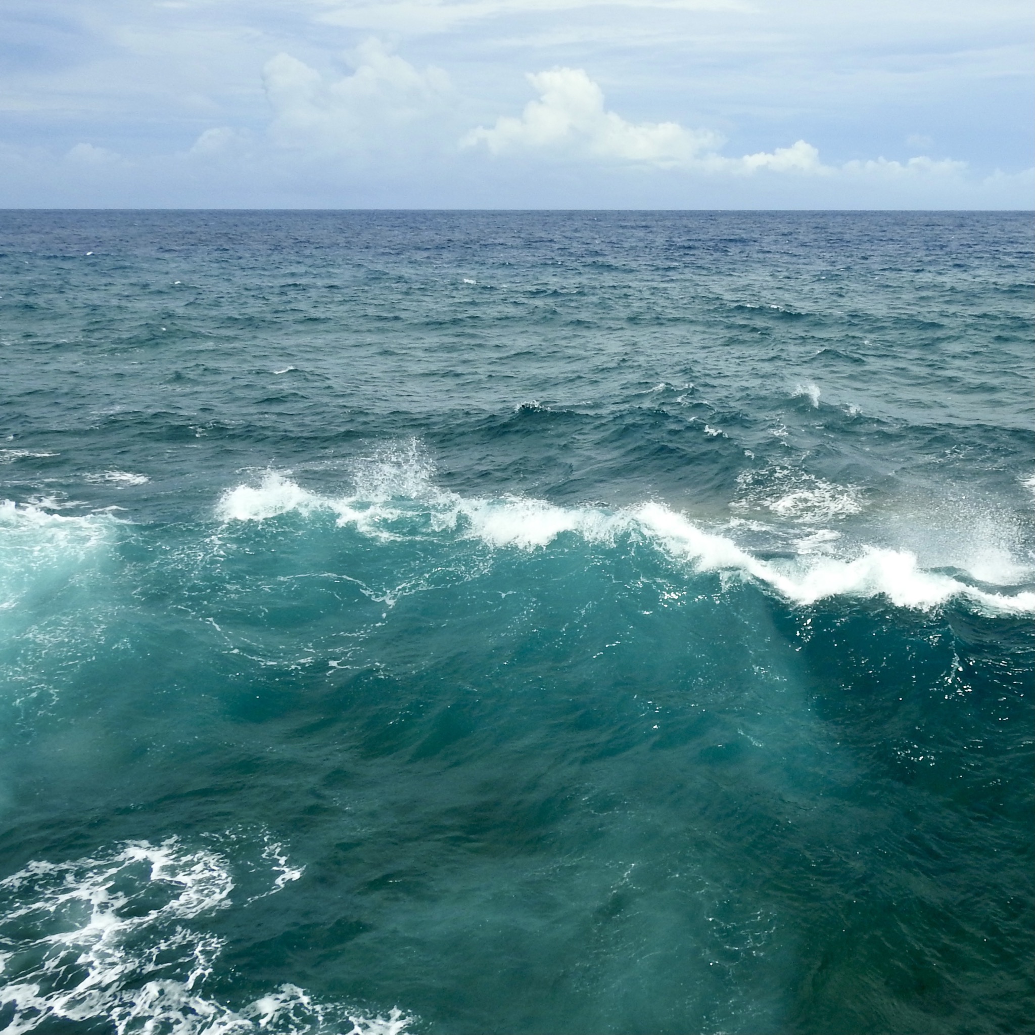 Hiking Curaçao - The Trails: Shete Boka, national park, trail along the ...