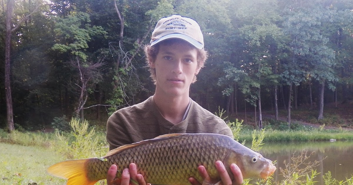 Connecticut Fly Angler: Pond Hopping for Carp