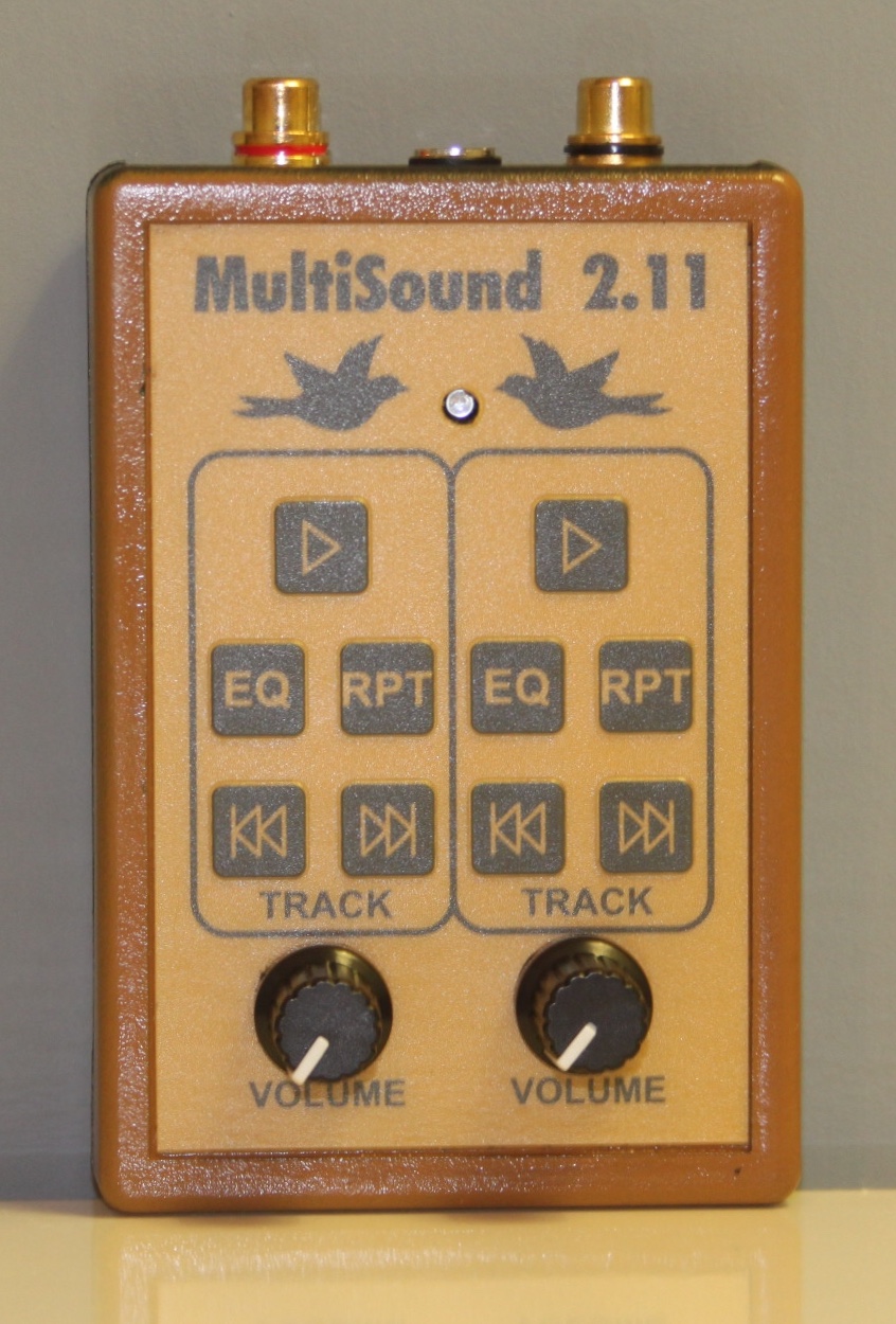 MULTİSOUND X : WELCOME TO MULTISOUND AUDIO PLAYER AND AMPLIFIER