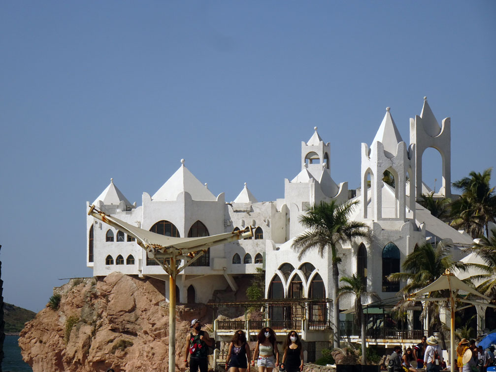 More Golden Years: Flora and fauna of Mazatlan