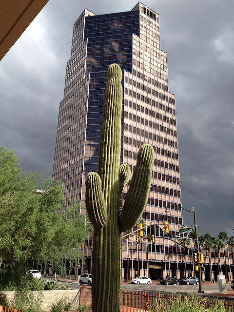 Tucson Daily Photo ~: Tucson - a Study in Contrasts