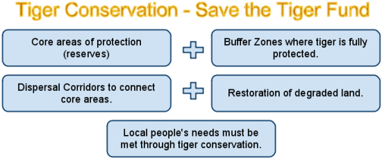 Let's Save Bengal Tigers!: Conservation Efforts