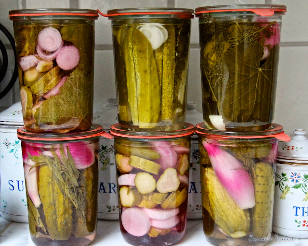 pursuit of the perfect pickle and an Orcas Island farmstand…