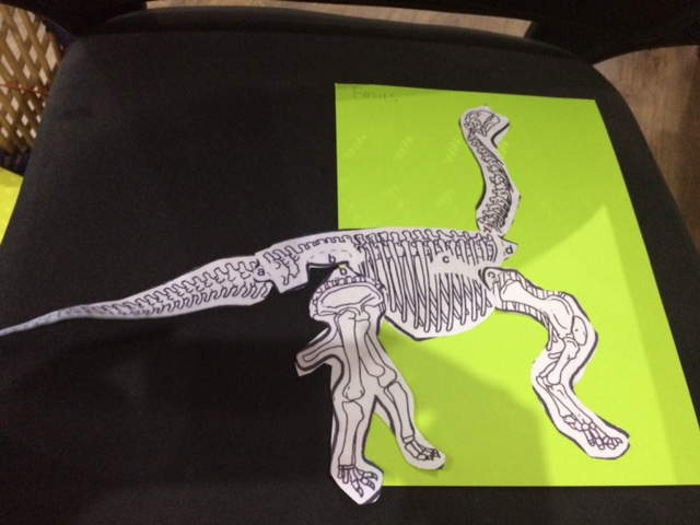 Fossils: Fossils Used In A Sentence