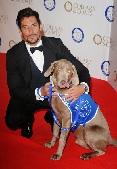 David Gandy -Source-: The Collars and Coats Gala Ball